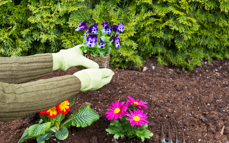 Seasonal Gardening Guide: What to Plant & When
